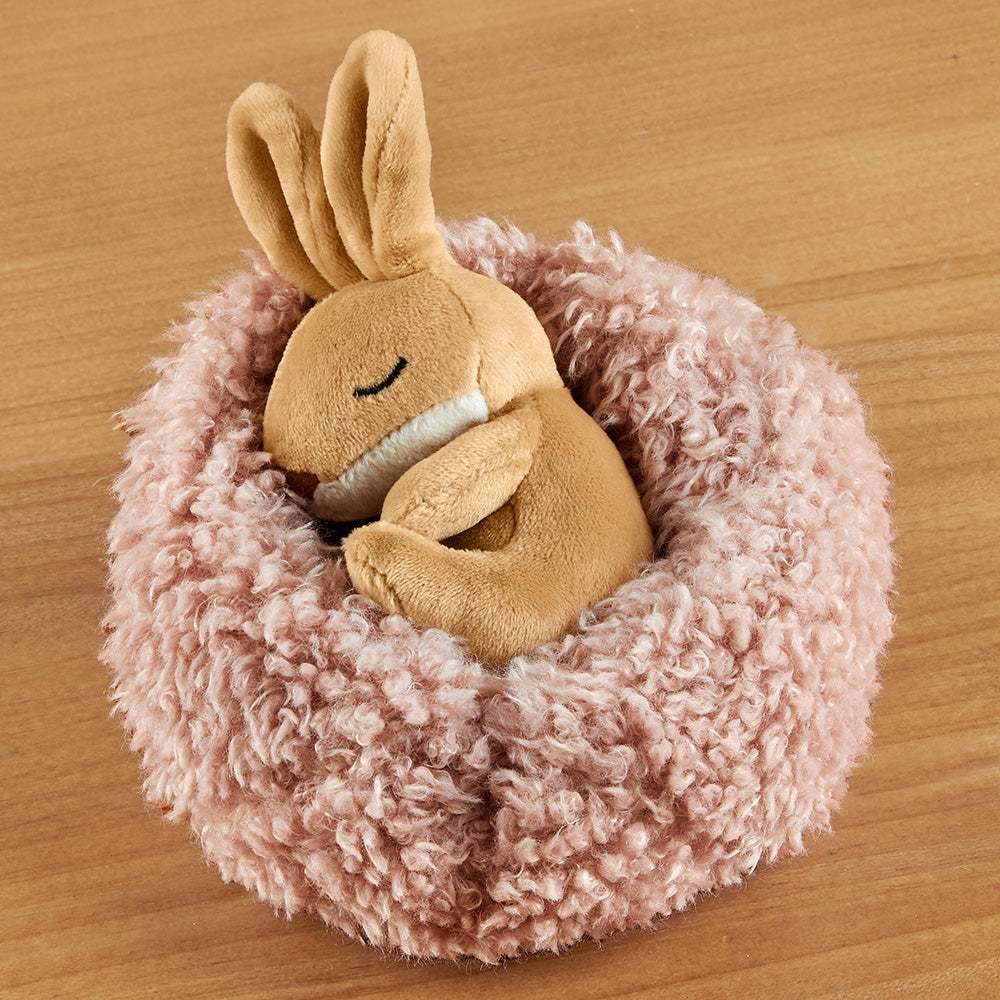 Hibernating Rabbit