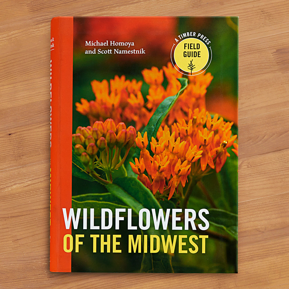 Midwestern Wildflowers | Best Flower Site